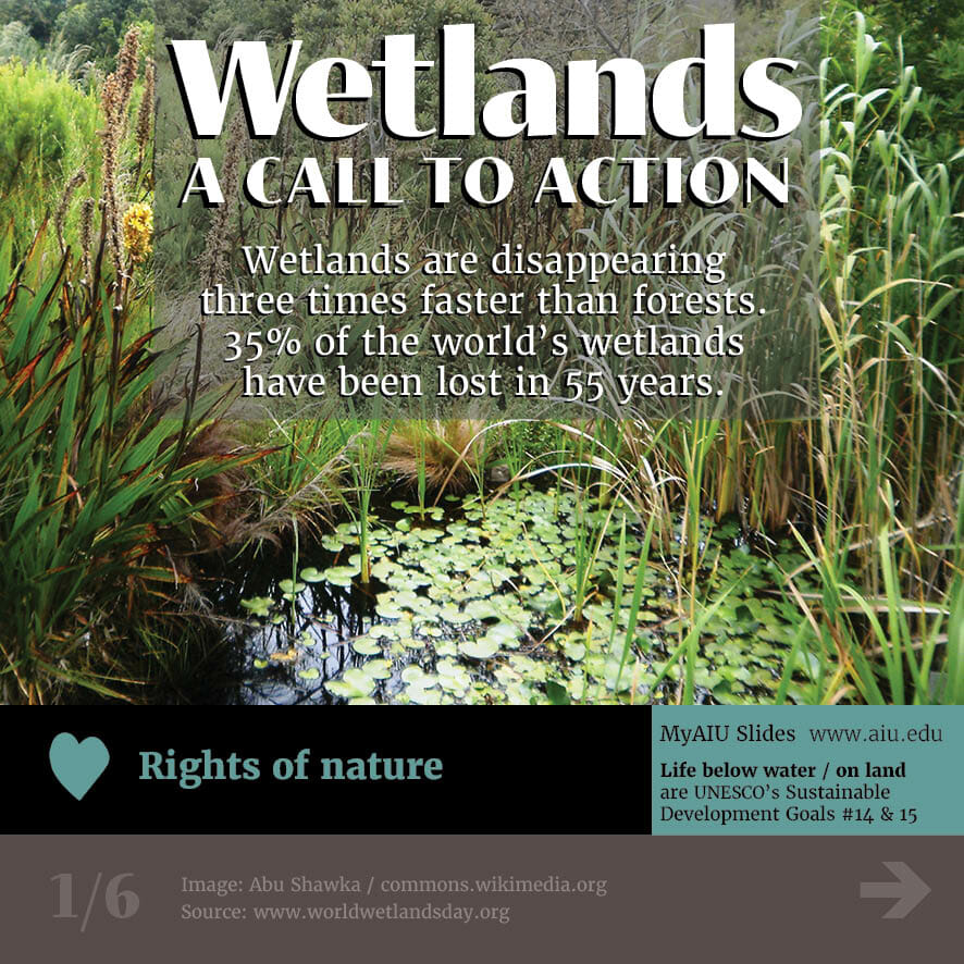 Wetlands: A Call for Action - aiu slides - Atlantic International ...