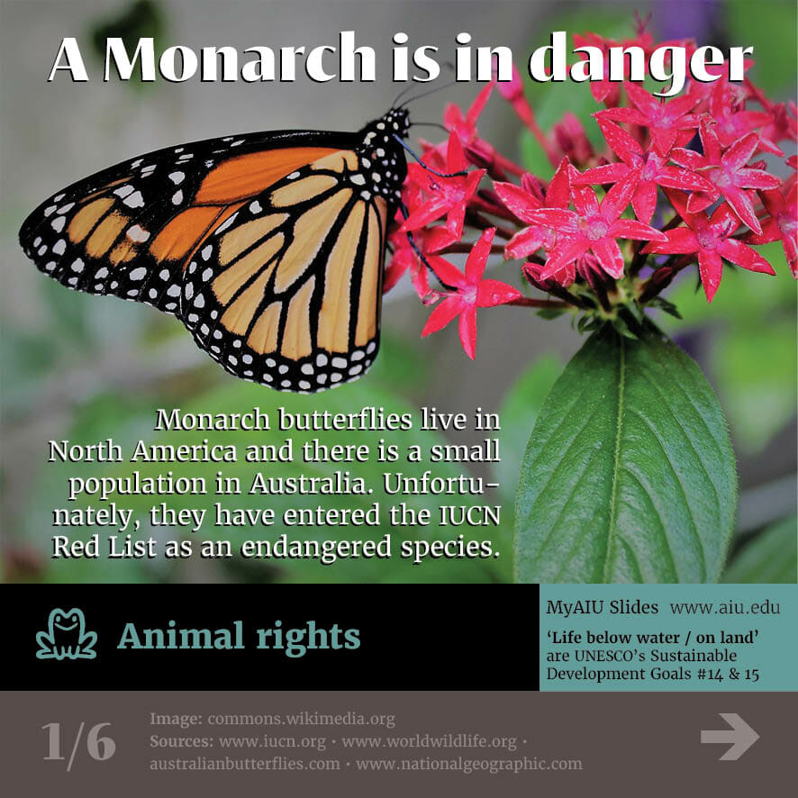 A Monarch in Danger - aiu slides - Atlantic International University