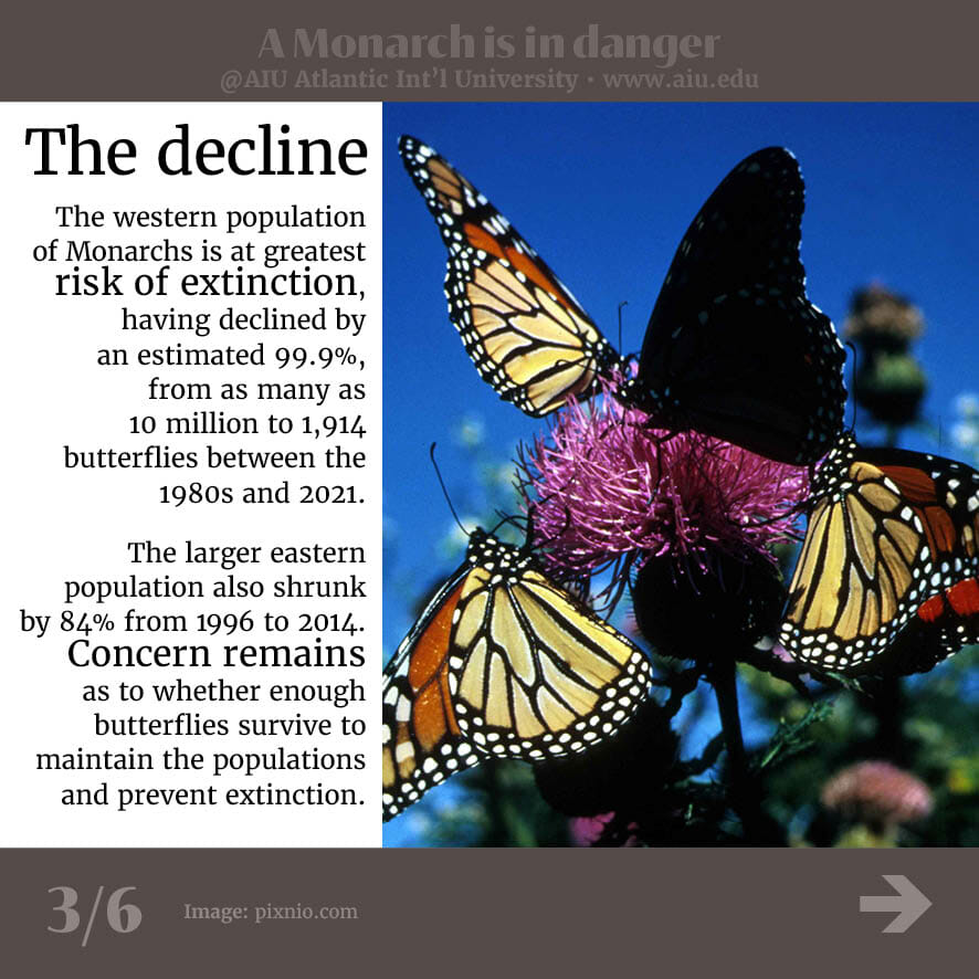 A Monarch in Danger - aiu slides - Atlantic International University