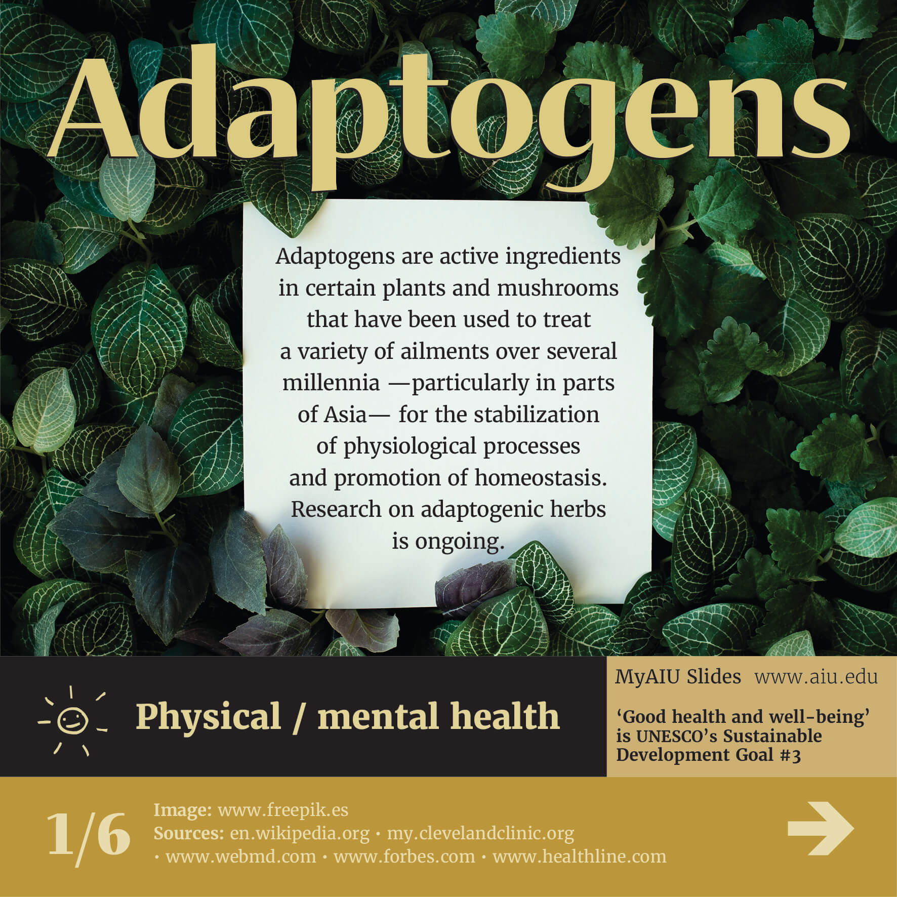 Adaptogens - aiu slides - Atlantic International University