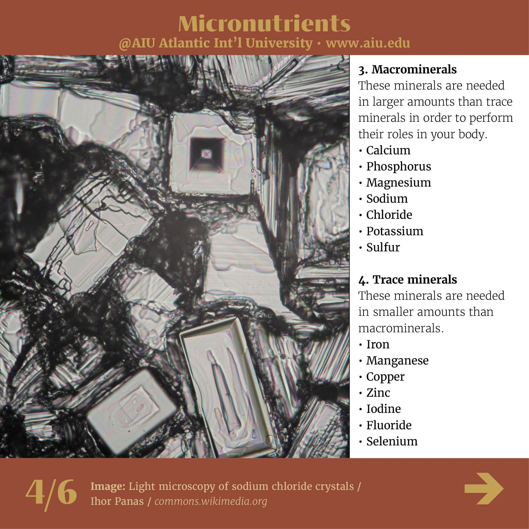 Micro Magic: The Power of Micronutrients in Your Diet - aiu slides ...