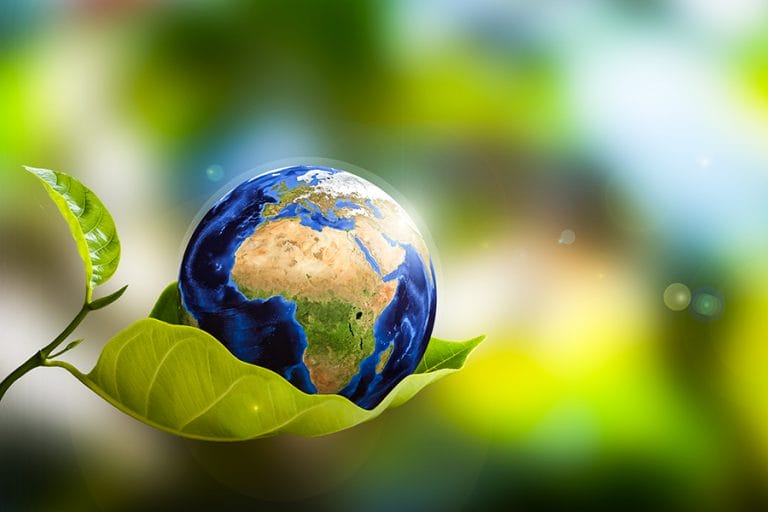 Environmental Health: The Impact of Environmental Factors on Human ...