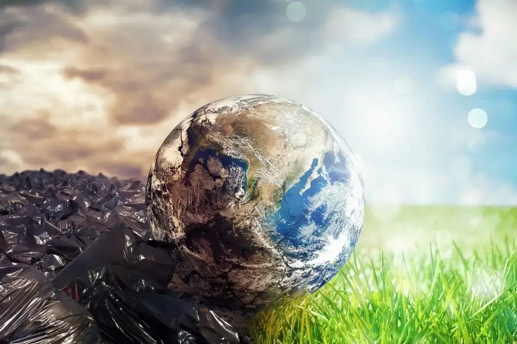 Environmental Health: Waste Management Practices and The Healthy Way ...