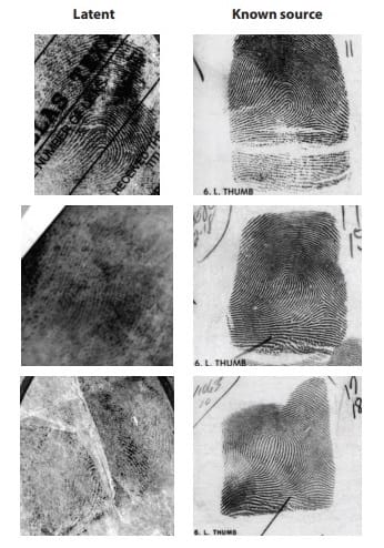 Forensic Evidence - Atlantic International University