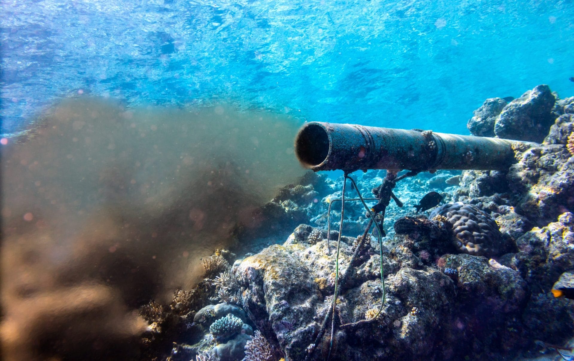 The Growing Threats from Chemical Pollution: An Urgent Call to Action ...