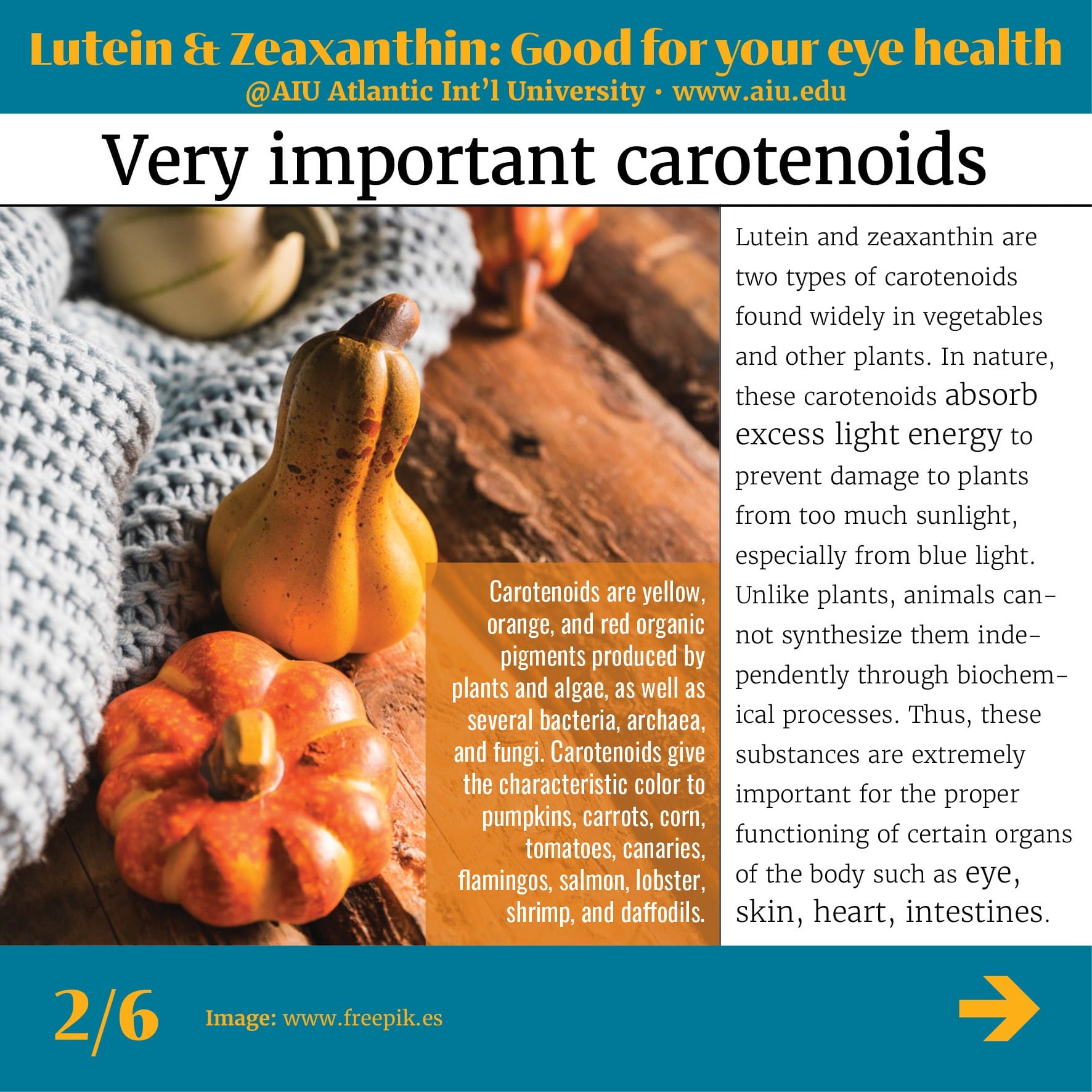 5 Key Benefits of Lutein and Zeaxanthin for Your Health - aiu slides ...