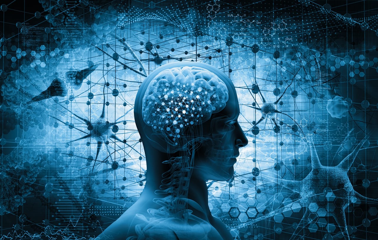 Neuropsychology of Attention: Foundations, Types, and Importance in ...