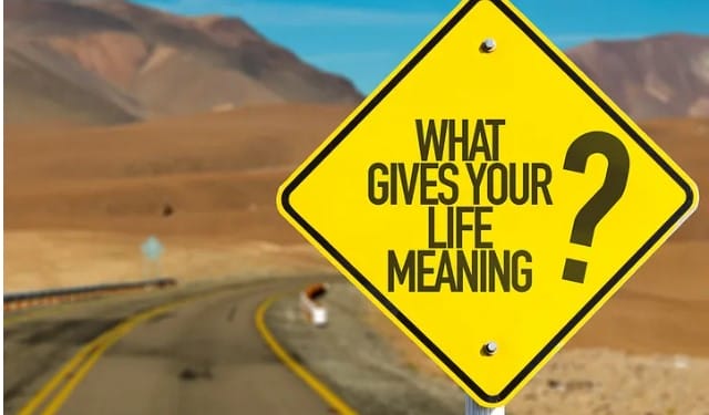 Embedding Purpose at Every Level - Atlantic International University