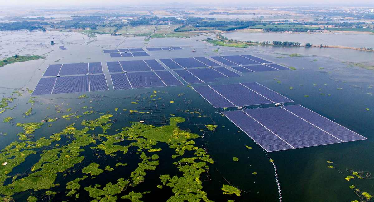 The Rise of Floating Solar Farms: A New Horizon for Renewable Energy ...