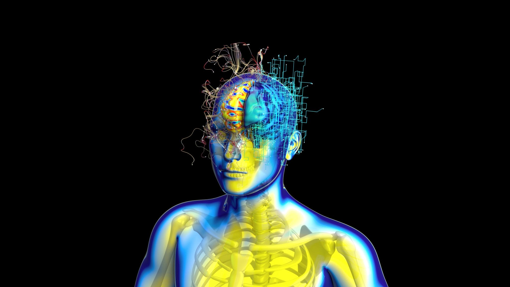 Mapping the Human Brain - Atlantic International University